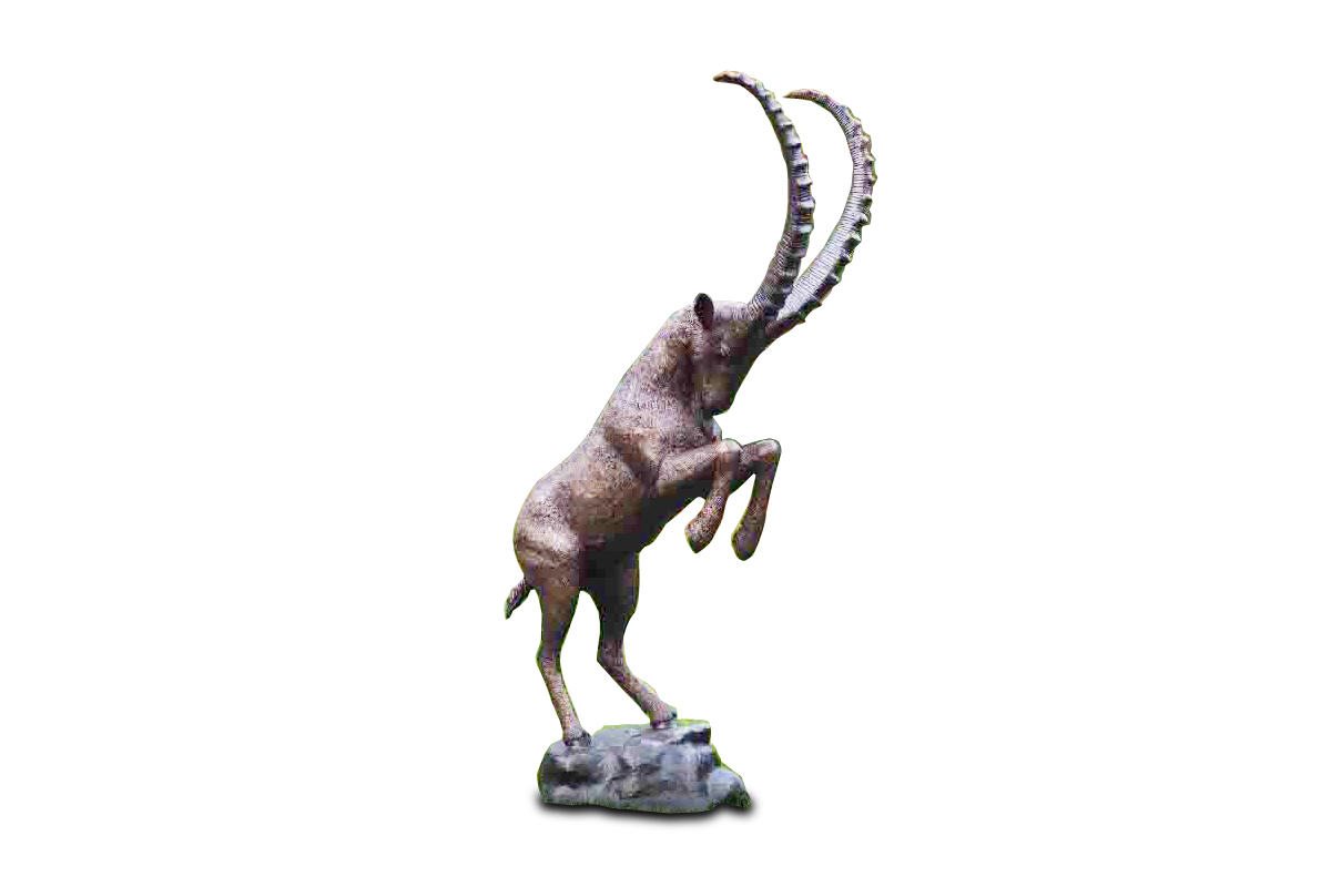 Classic Gallery - Springender Steinbock